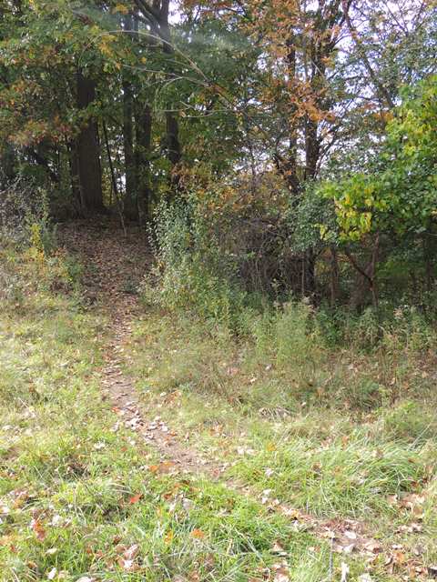 MI - Fulton Park [4606] - PRA- Nature Prescribed