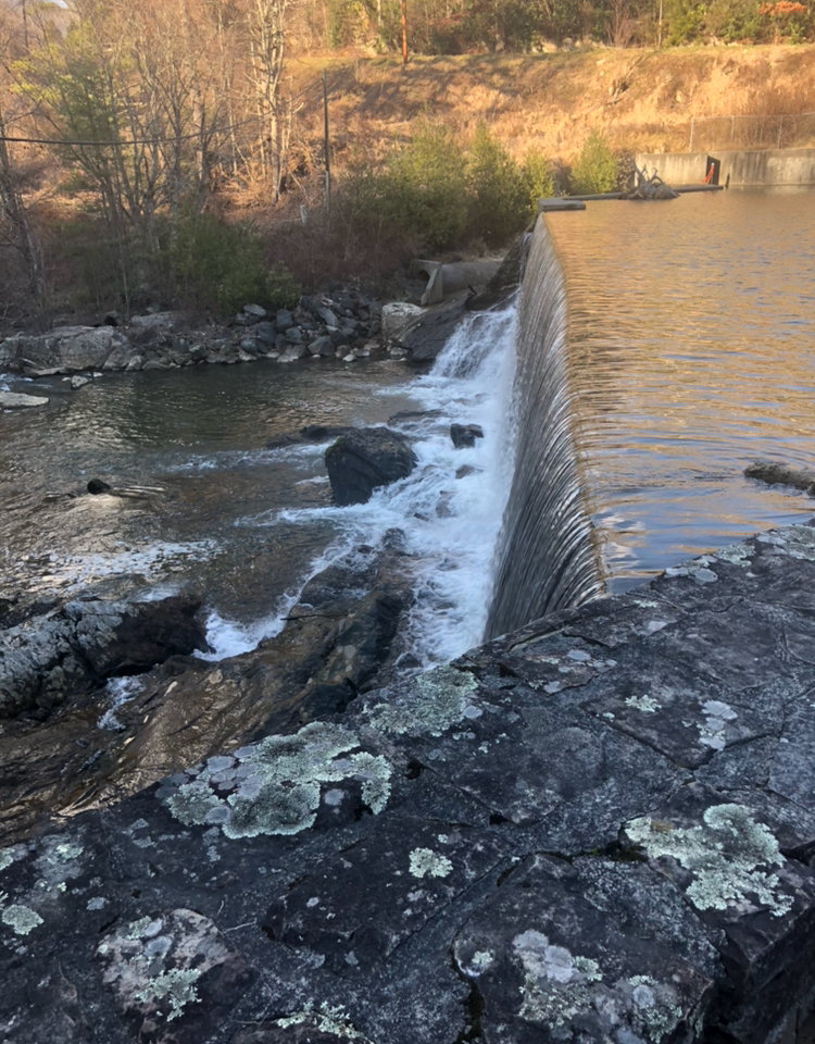 NC - Mill Pond [4911] - PRA- Nature Prescribed