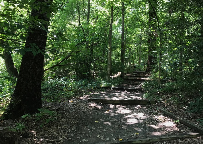 VA - Forest Park [3532] - PRA- Nature Prescribed