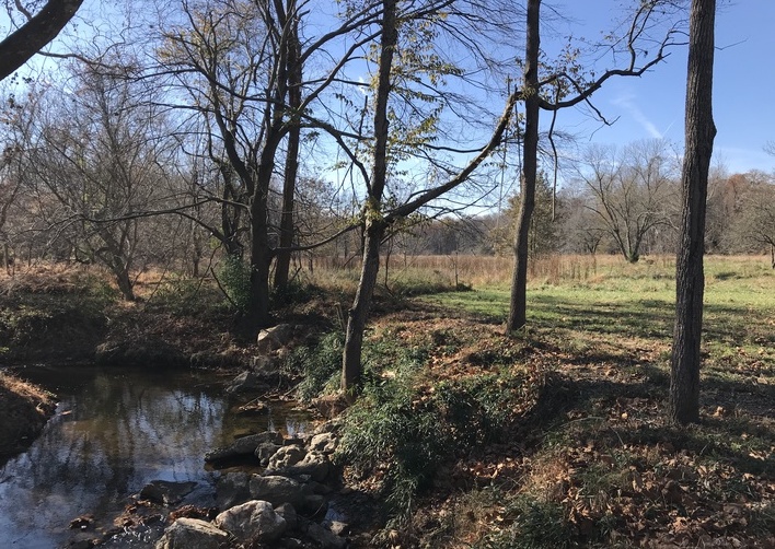 VA - Waples Mill Meadow Park [4087] - PRA- Nature Prescribed