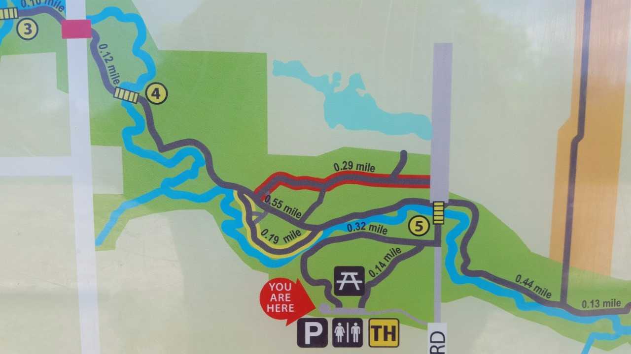 MI - Lower Rouge River Trail [4698] - PRA- Nature Prescribed