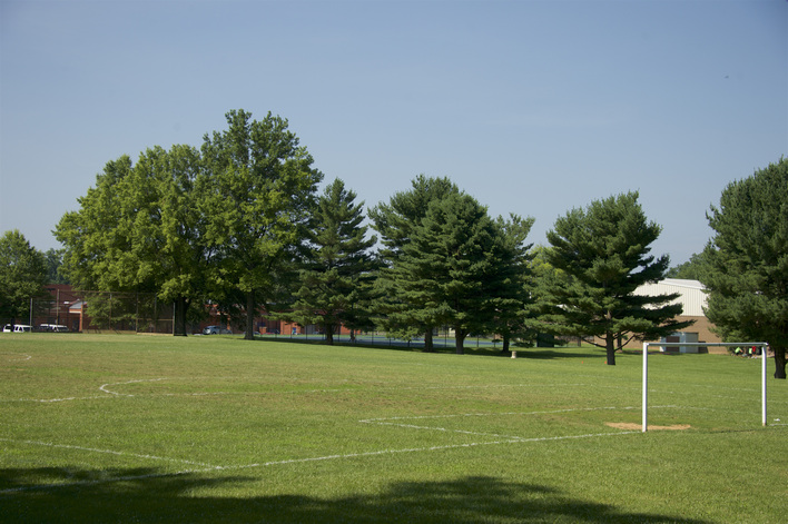 MD - Bauer Drive Local Park [377] - PRA- Nature Prescribed