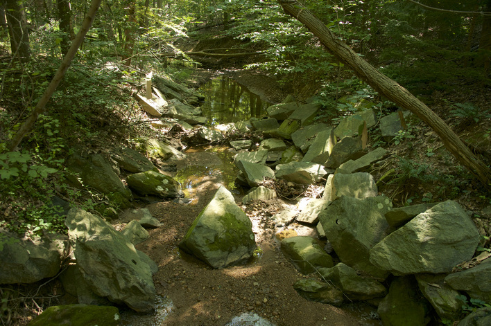 MD - Buck Branch Stream Valley Unit #1 [408] - PRA- Nature Prescribed