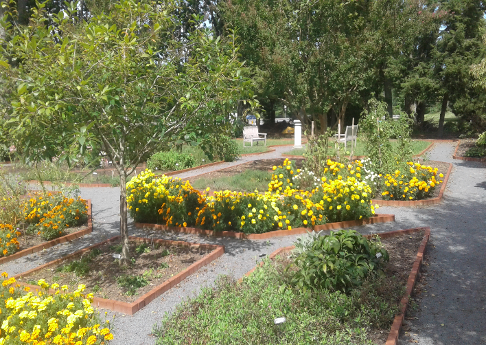 VA - Sully Historic Site [3620] - PRA- Nature Prescribed