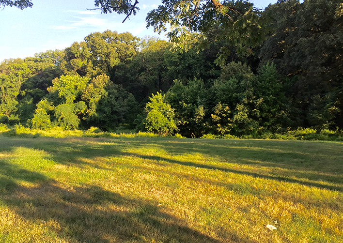 DC - Fort Slocum [2948] - PRA- Nature Prescribed