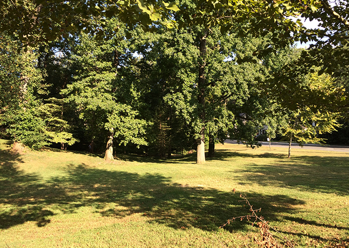 DC - Foxhall Playground [2953] - PRA- Nature Prescribed