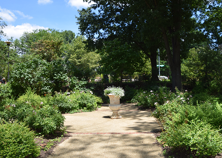 DC - Guy Mason Recreation Center [2975] - PRA- Nature Prescribed