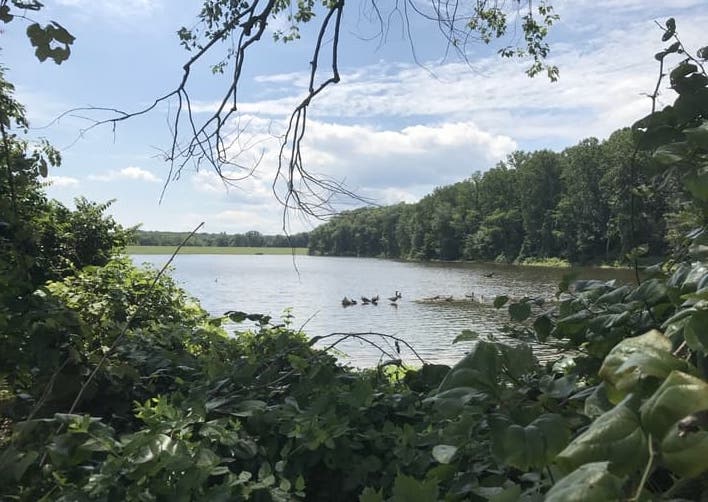 VA - Lakeside Park [3563] - PRA- Nature Prescribed