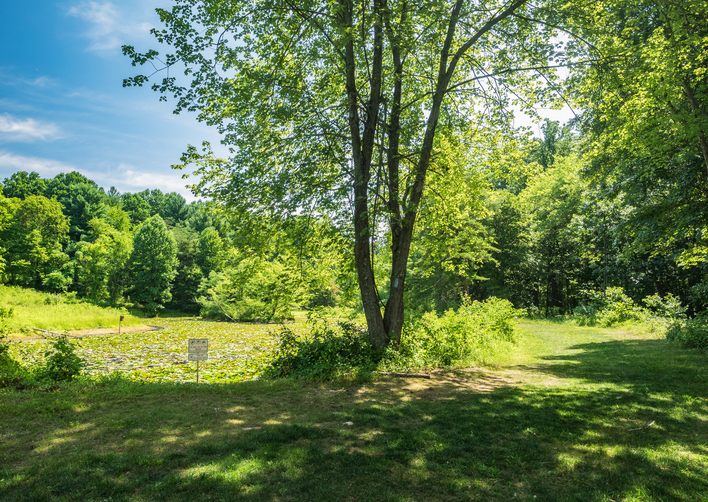 MD - Maydale Conservation Park [619] - PRA- Nature Prescribed