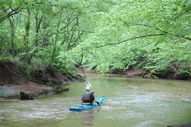 NJ - Manasquan River Greenway - Havens Bridge Road [4880] - PRA- Nature ...
