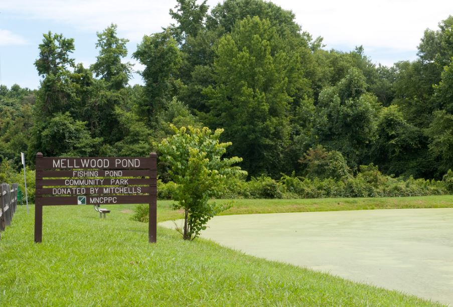 MD - Mellwood Pond Park [1415] - PRA- Nature Prescribed