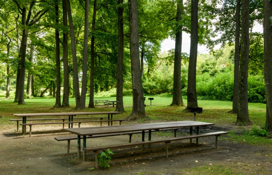 MD - Oxon Run Park [1516] - PRA- Nature Prescribed