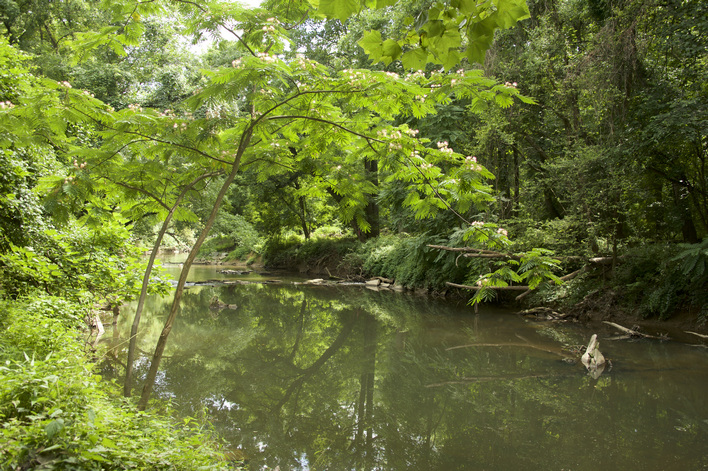 MD - Ray's Meadow Local Park [707] - PRA- Nature Prescribed